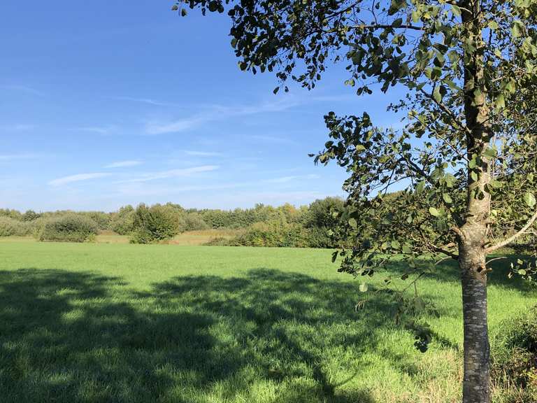 Vlonderpad in Mosselgoren – Thijs café rondtocht vanuit Ten Aard ...