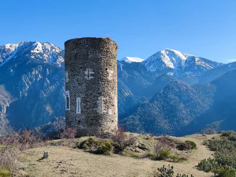 Abbaye de Saint-Martin du Canigou et Tour de Goa – Boucle trail depuis ...