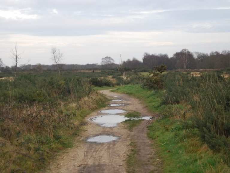 Abschnitt 1: Ipswich (Rushmere Heath) nach Woodbridge — Sandlings ...