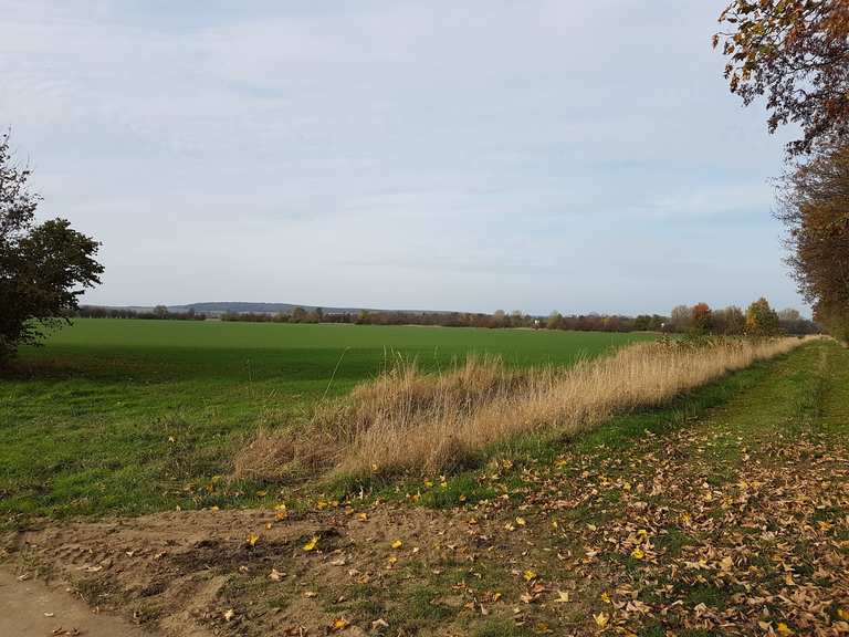 wunderschöner Weg durch die Landschaft : Radtouren und Radwege | komoot