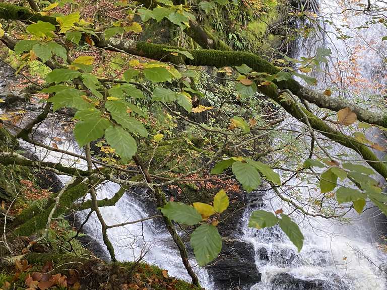 Ben Ledi & Stank Glen loop — Loch Lomond & the Trossachs National Park ...