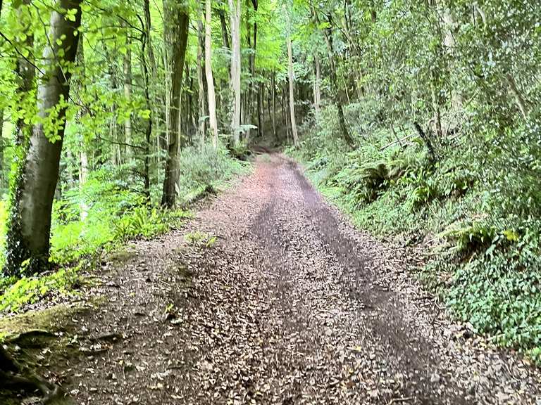 Coaley Peak & Cam Long Down loop from Nympsfield — Cotswolds | run | Komoot