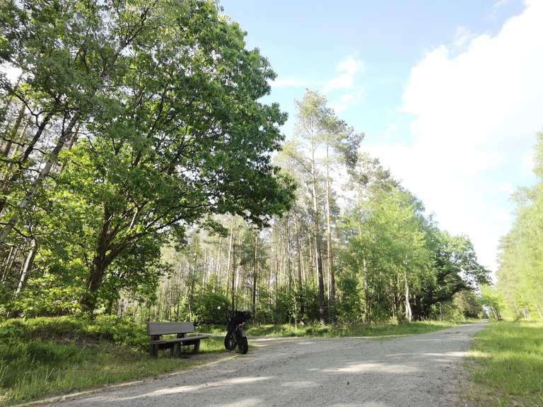 Bench Near Ovelgönne Forest Path – Hiking & Cycling Routes | Komoot
