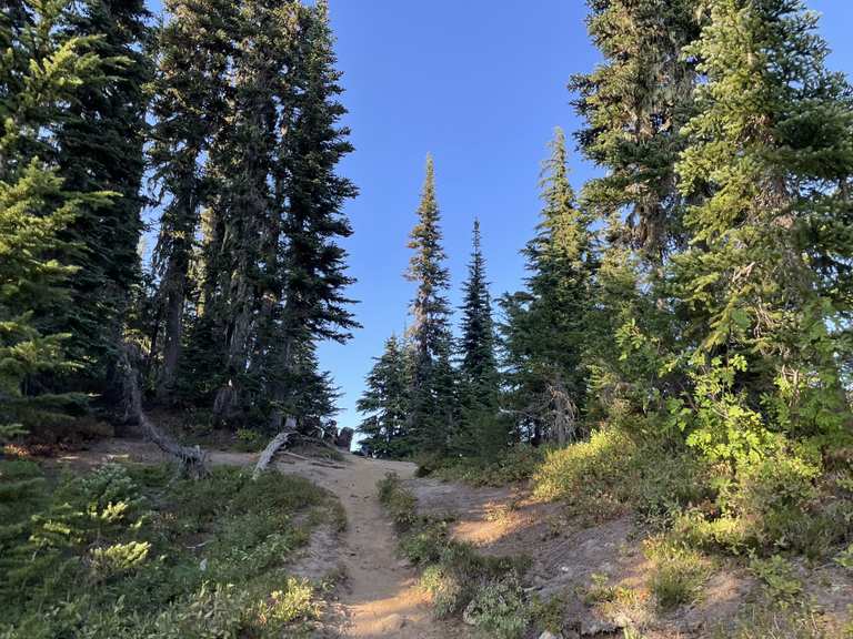 Piper Pass Routes for Walking and Hiking | Komoot