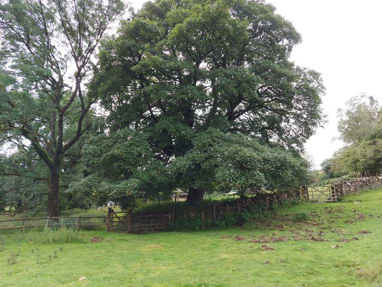 Medieval Village of Challacombe Routes for Walking and Hiking | Komoot