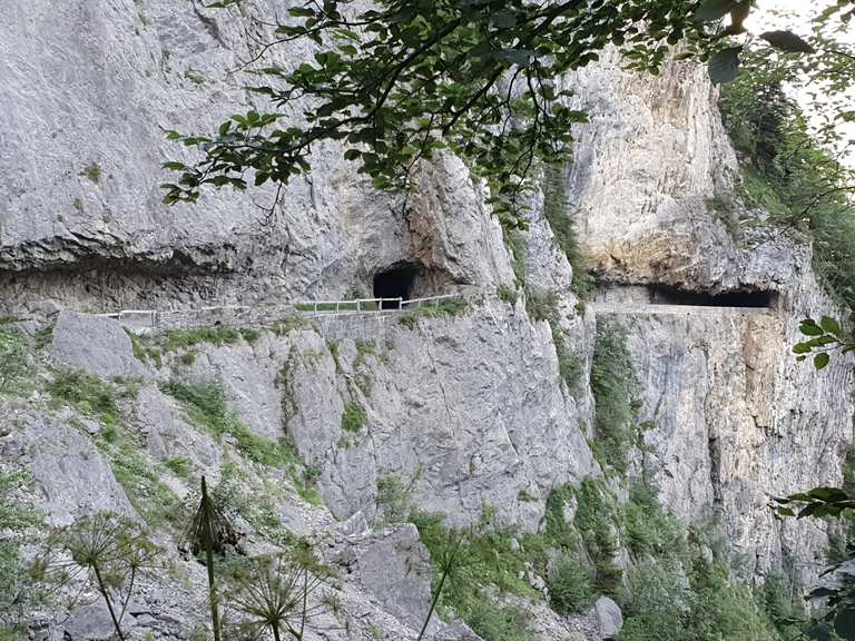 Felsentunnel Serpentinenstraße Sennwald–Alp Rohr: Wanderungen und ...