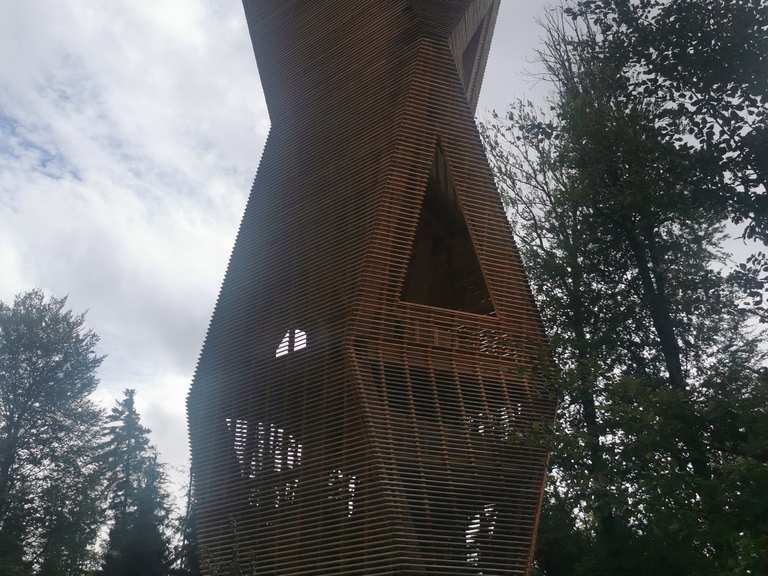 Hardwaldturm: Wanderungen und Rundwege | komoot