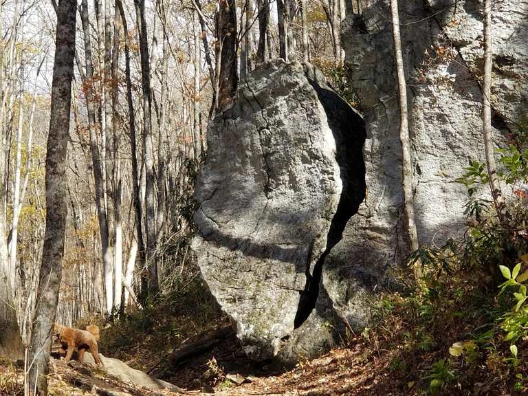 Le Pinnacle via le sentier de la Fourche Ouest - Parc du Pinnacle ...