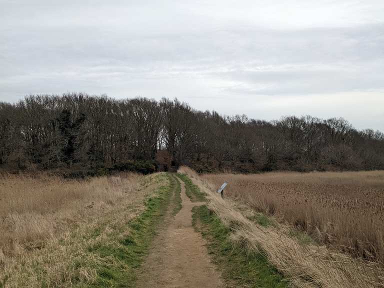 Rezerwat przyrody Snape Warren – trasy piesze | Komoot