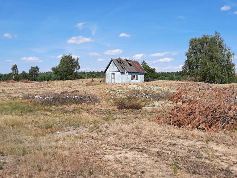 Circuit de la lande de Probst Jesar | randonnée pédestre | Komoot