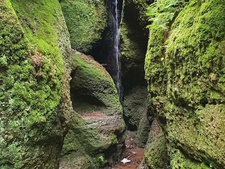 Rennsteig-Leiter Eisenach – Thüringer Wald | Wanderung | Komoot