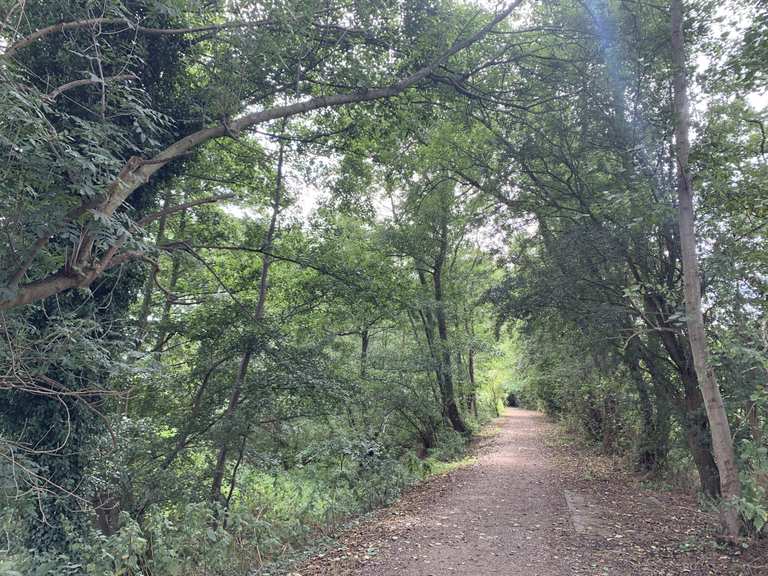 River Lee Navigation view Routes for Walking and Hiking | Komoot
