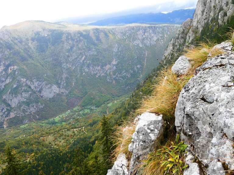 Tara Canyon Viewpoint – Ćurevac Itinerario ad anello da Podgora ...