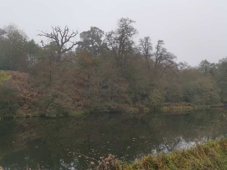 Calke Park Routes for Walking and Hiking | Komoot