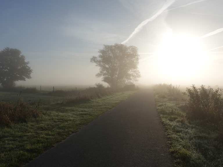 Naturschutzgebiet Borgfelder Wümmewiesen: Wanderungen und Rundwege | komoot