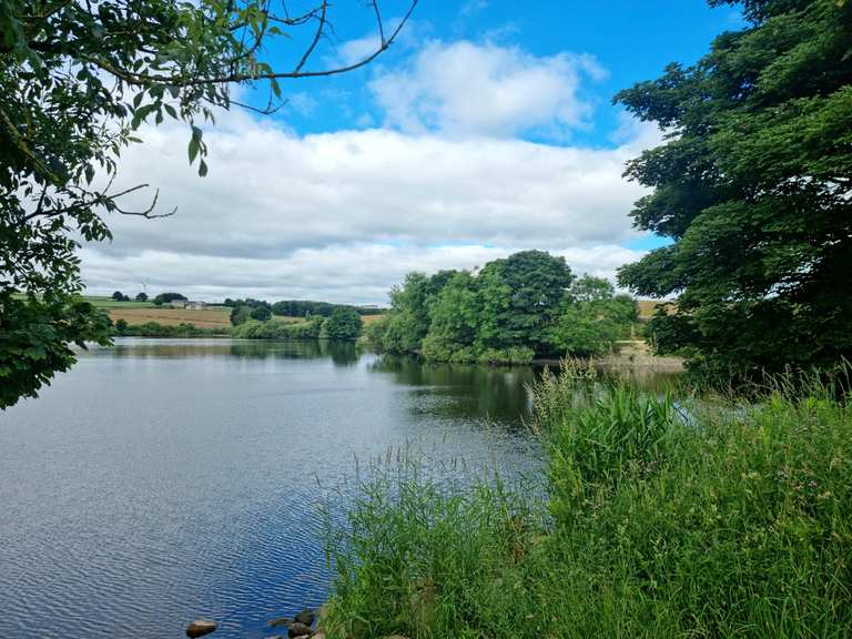 Ingbirchworth Reservoir Road Cycle Routes and Map | Komoot
