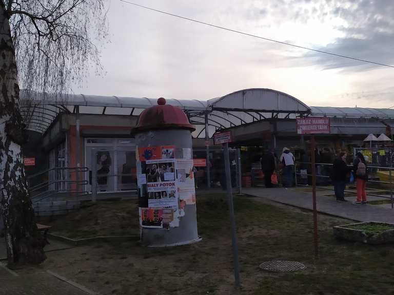 Polenmarkt Slubice Routes for Walking and Hiking | Komoot