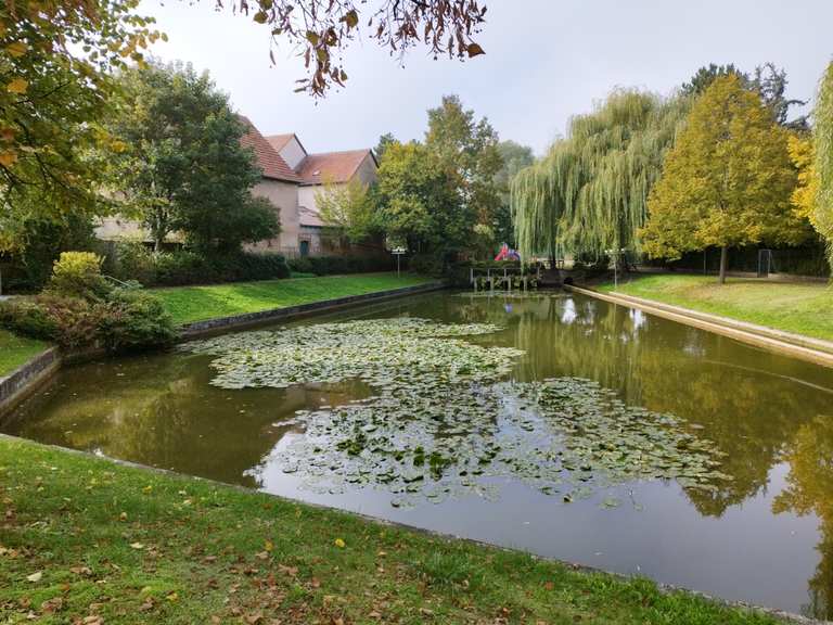 Schöner Rastplatz am Woog im Mörstadt : Radtouren und Radwege | komoot