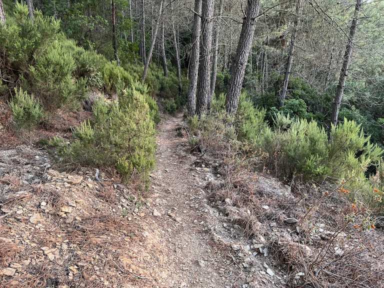 Massís de les Gavarres – circular por el Castell de Sant Miquel y el ...