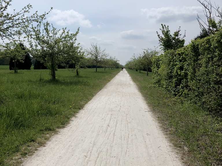 Allée Royale - Itinéraires vélo et carte | Komoot