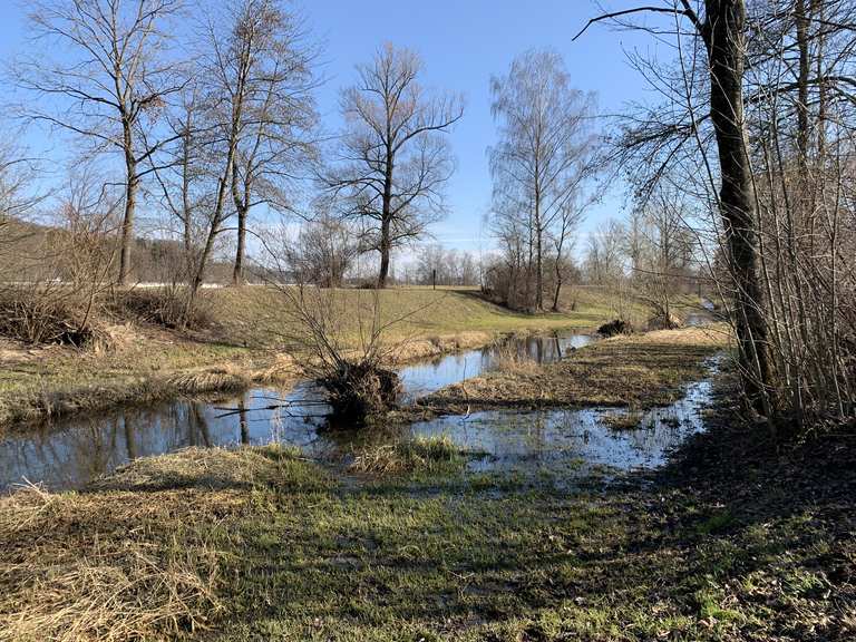 Biberdamm: Mountainbike-Touren und -Trails | komoot