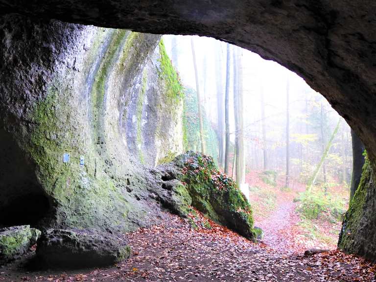 Trail am Panzerring: Mountainbike-Touren | komoot