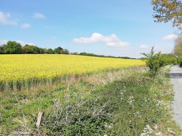 Hellesdon Station & Costessey loop em Marriot's Way | caminhada | Komoot