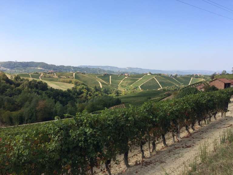 Big Bench Sinio Routes for Walking and Hiking | Komoot