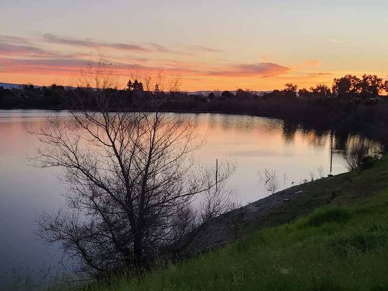 Quarry Lakes Regional Park loop | hike | Komoot