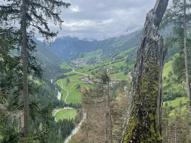 Hohe Bank Steig - Routes for Walking and Hiking | Komoot