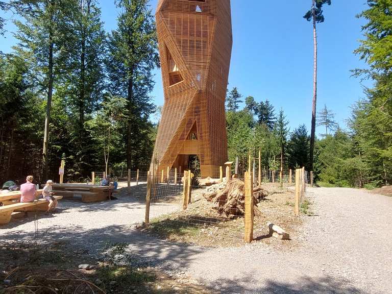 Hardwaldturm: Wanderungen und Rundwege | komoot