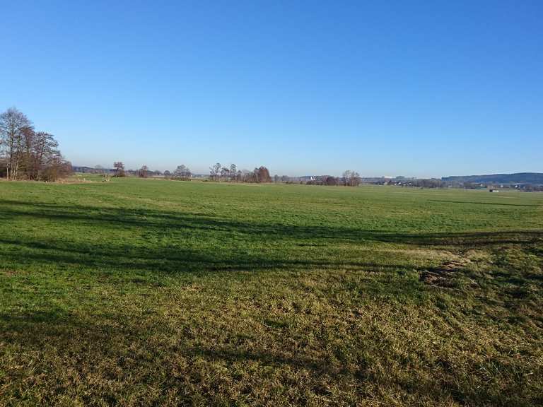 Mühlenweiler Reischenau: Mountainbike-Touren und -Trails | komoot