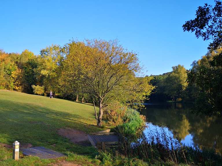 High Woods Country Park loop — Colchester | hike | Komoot