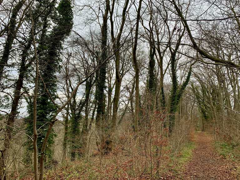 Sundon Hills Country Park Routes for Walking and Hiking | Komoot