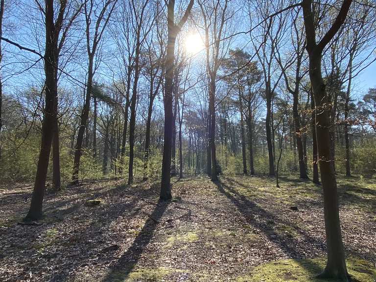 Het Peerdsbos wandelroutes en hikes | Komoot