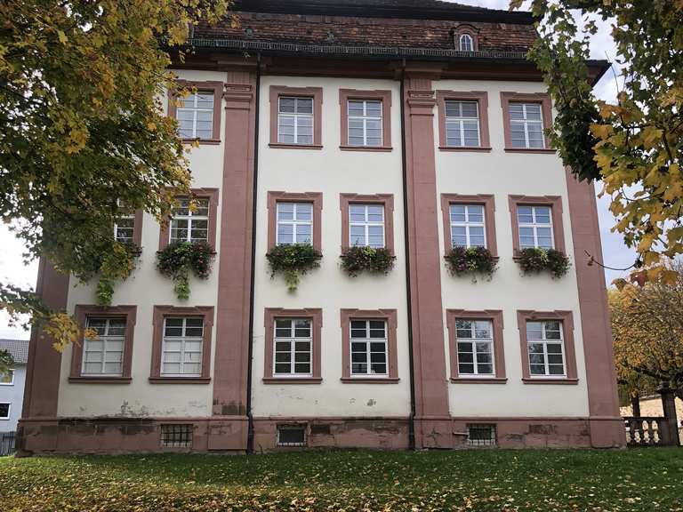 Schloss Dettingen: Wanderungen und Rundwege | komoot