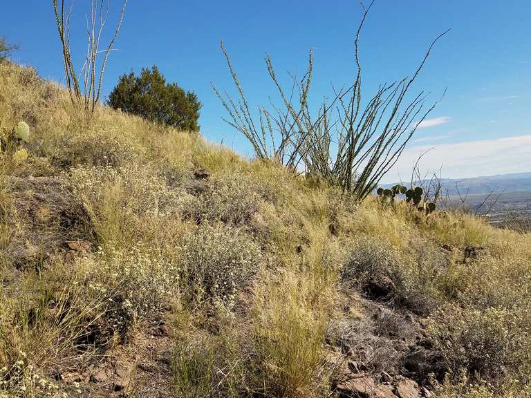 Blowout Canyon – trasy piesze | Komoot