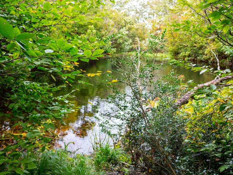 Mt. Yudono naar Shizu Onsen - wandelen op het vulkaanpad van het Bandai ...