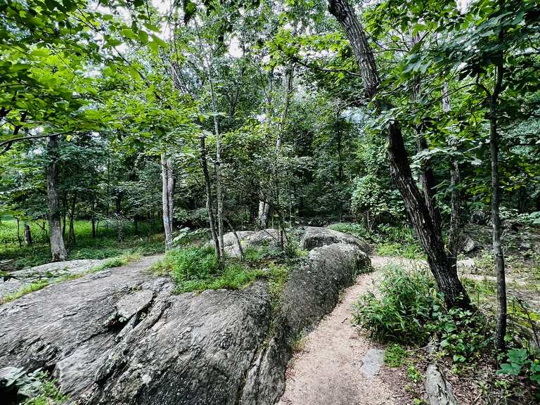 Matildaville Trail & River Trail loop — Great Falls Park | hike | Komoot