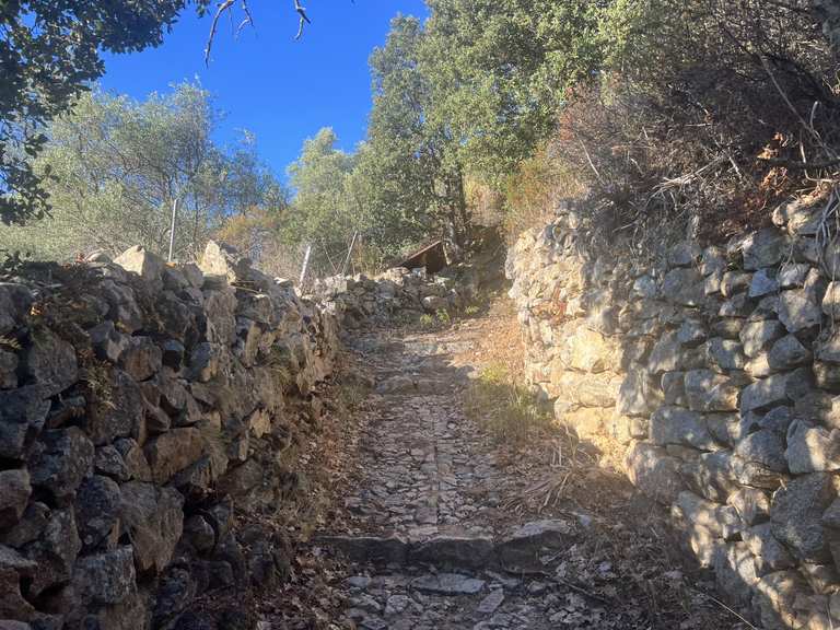 Occiglioni Santa-Reparata-di-Balagna - Santa-Reparata-Di-Balagna, Calvi ...