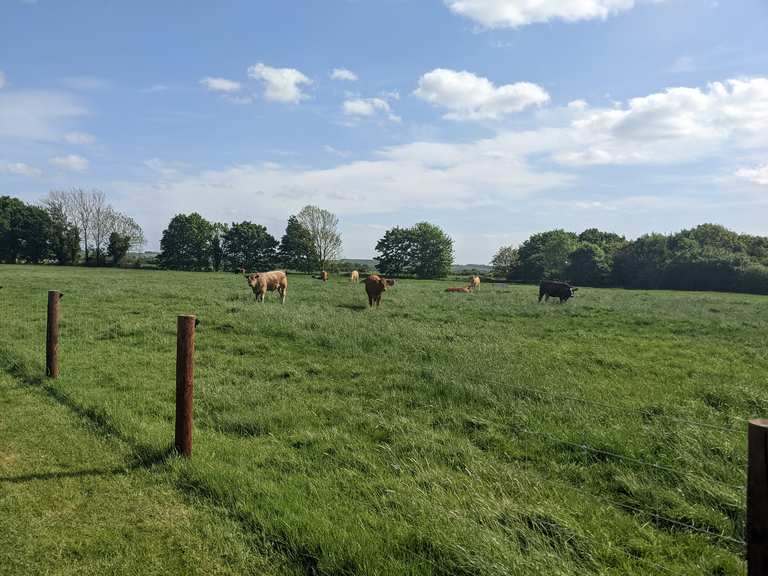 John Bunyan Trail Bridleway Cycle Routes and Map | Komoot