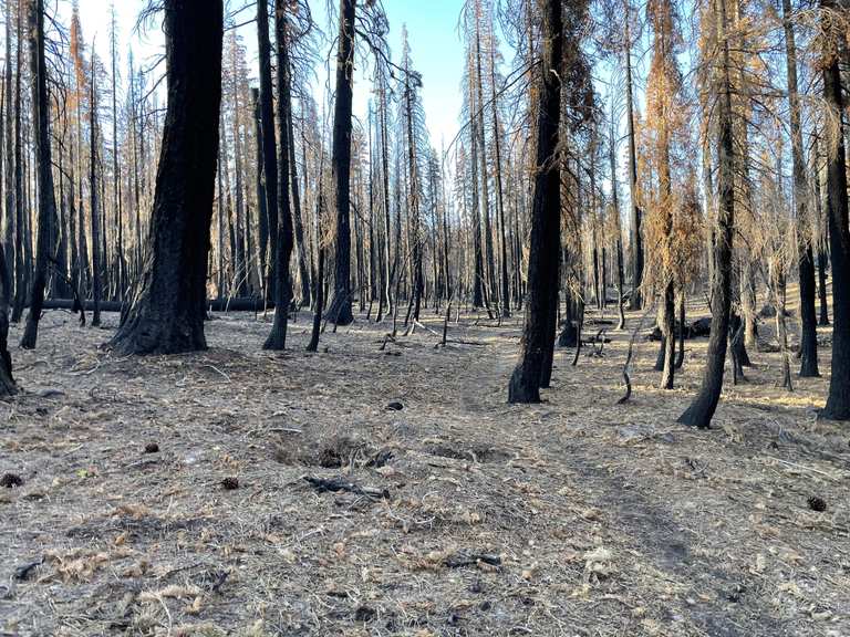 Terminal Geyser Trail Routes for Walking and Hiking | Komoot