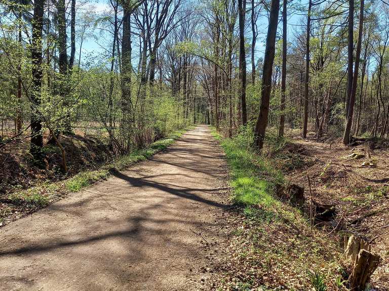 Max-Clemens-Kanal-Radweg: Radtouren und Radwege | komoot