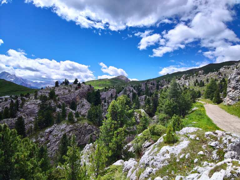 Città dei Sassi – Passo Sella - Città dei Sassi Circuit à partir de ...