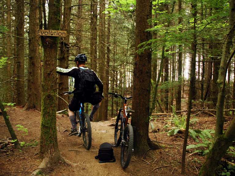 Evolution Trail & Radical Dragon Trail loop — Galbraith Mountain Expert ...