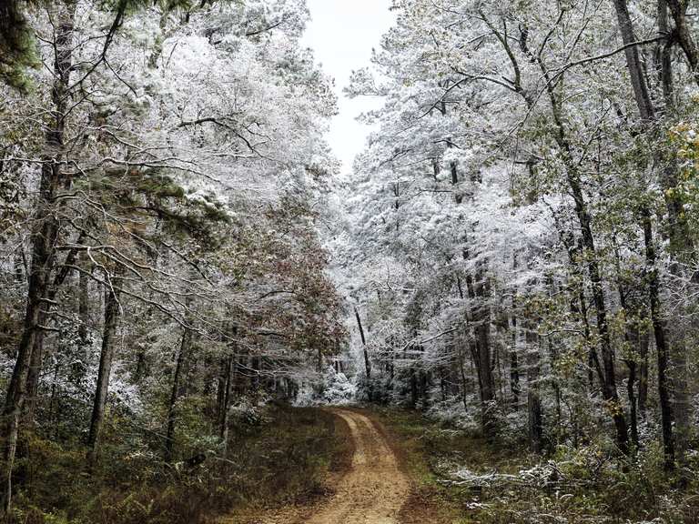 Double Lake to Big Creek Scenic Area out and back — Double Lake ...