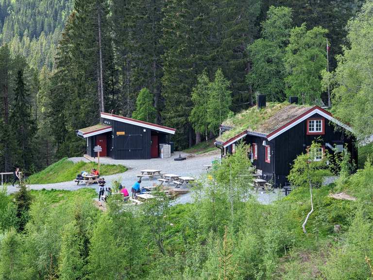 Schleife von Granåsen nach Grønlia - Bymarka Naturreservat | Wanderung ...