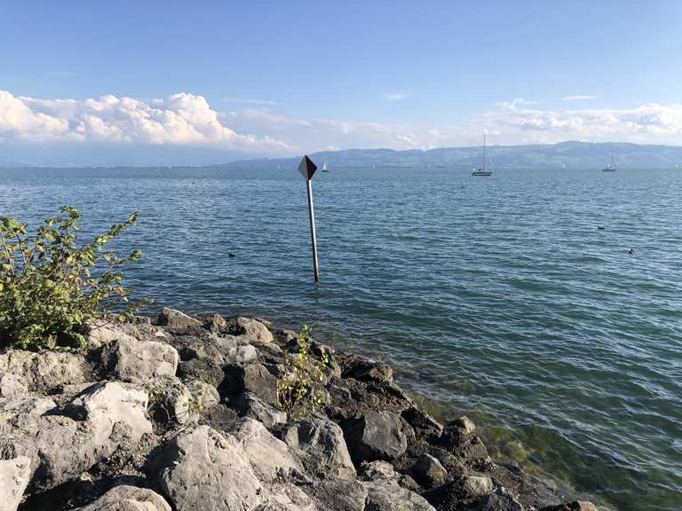 Hafenausfahrt Meichle und Mohr / Argenmündung: MTB-routes en trails ...