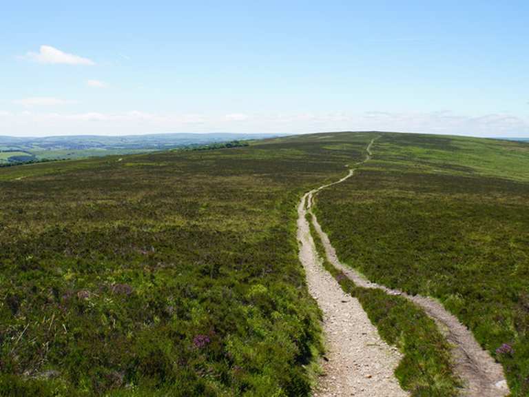 Dunkery Beacon & Stoke Pero loop — Exmoor National Park | hike | Komoot
