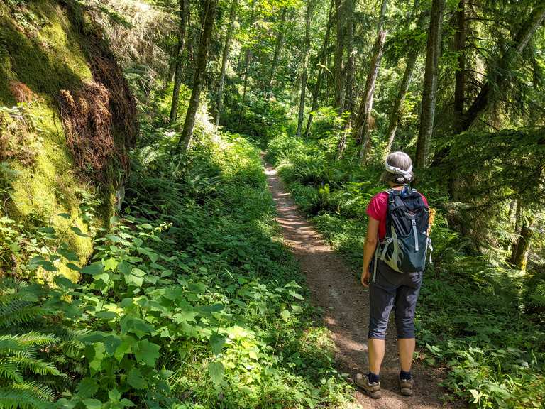 Raptor Ridge Loop – Larabee State Park | hike | Komoot